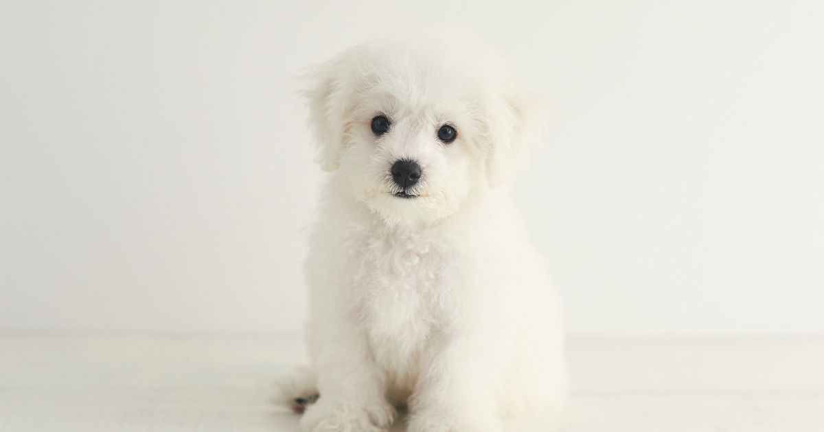 SNSで使える！韓国語のかわいい＆おしゃれ単語80選【ハングル】 | Langfuldays